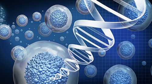 iPSC-Derived Cells | Creative Bioarray iPSC-Derived Cells | Creative Bioarray